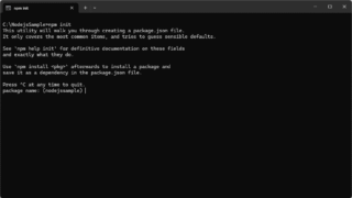 【Node.js】package.jsonを作成するnpm initコマンドを解説します | たいらのエンジニアノート